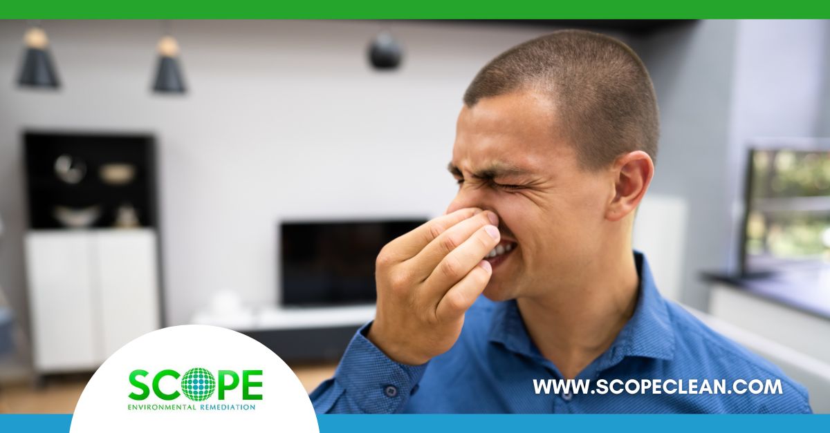 Methods for Effective Odor Removal Techniques