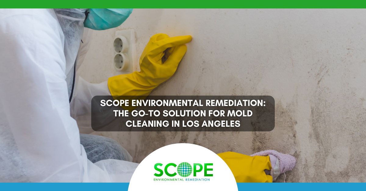 Mold Cleanup Tips: Get Rid Of Mold In Minutes!